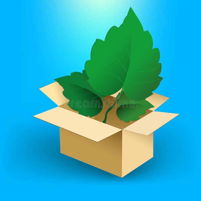 Leaves in box illustration stock vector. Illustration of biological ...