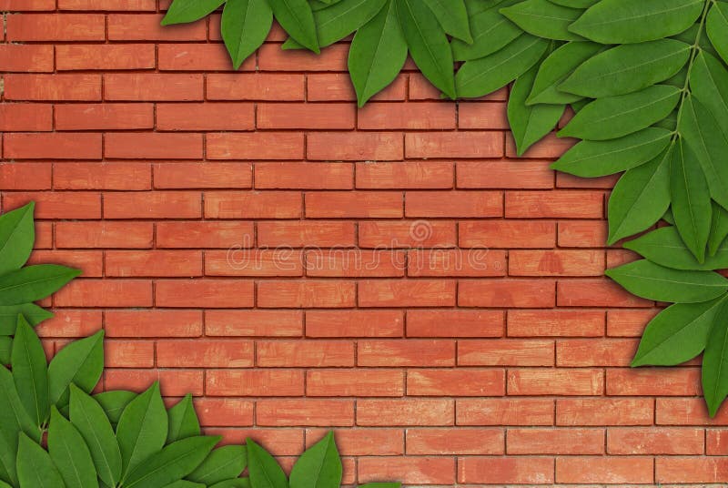 Leaves on Brick Background, Leaves Frame. Stock Image - Image of design ...