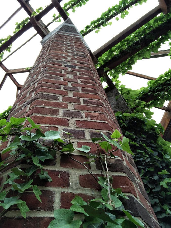 Leaves stock image. Image of bricks, pillar, leaves, green - 72519567