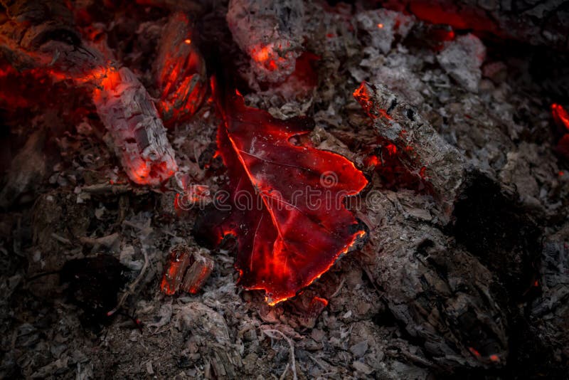 Leaves burning in a fire stock image. Image of view - 141988817