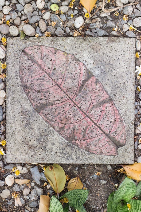 Leaves cement stock image. Image of walkway, surface - 51482755