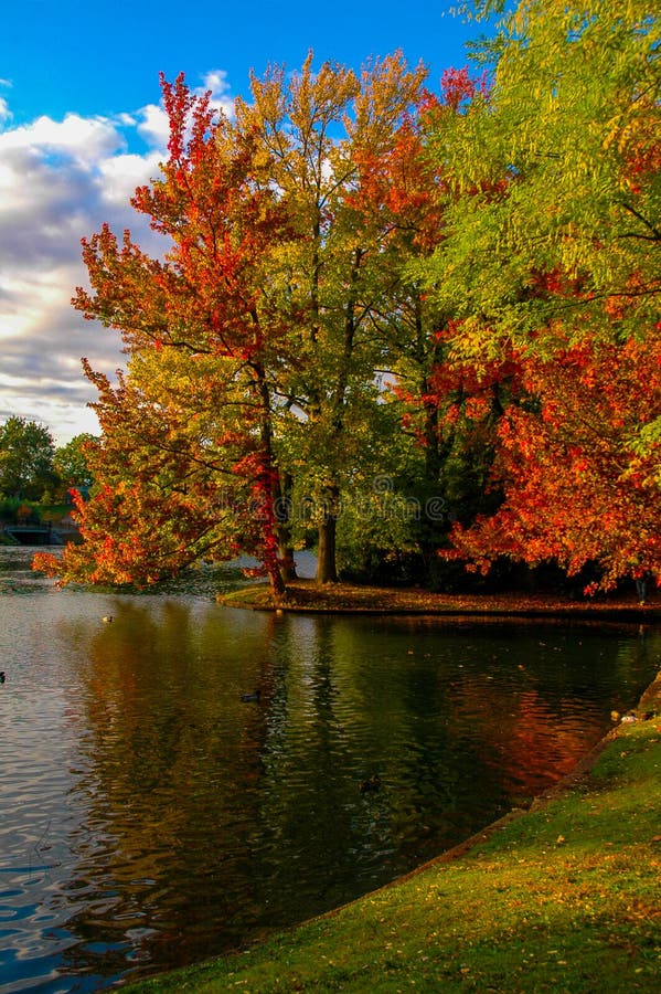 Leaves Changing Colors in Fall. Stock Image - Image of blue, grass ...