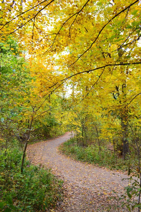 Leaves Changing Colors in Fall on a Walking Trail Stock Image - Image ...