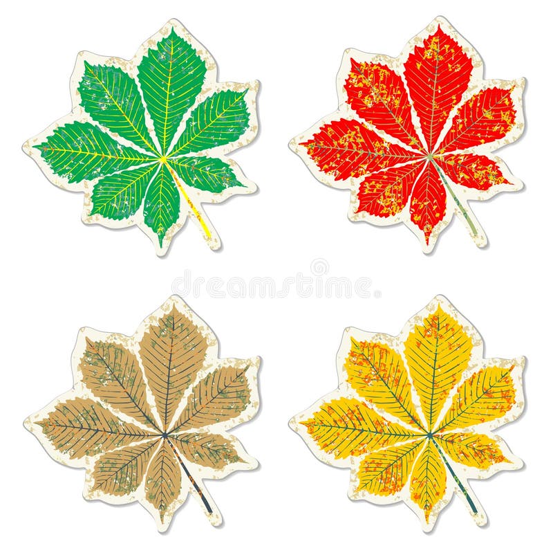 Leaves of Chestnut Tree Grunge Sticker Stock Illustration ...