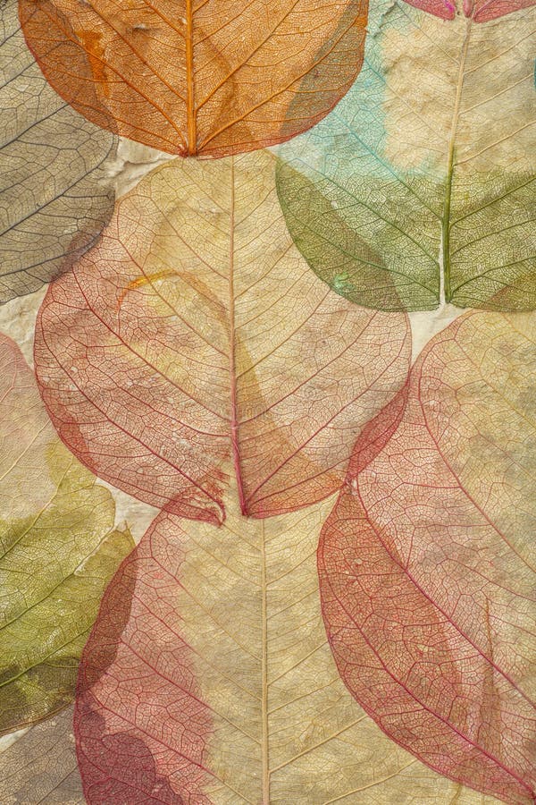 Leaves Close Up Background. Dry in Old Leaves with a Micro Pattern on a ...