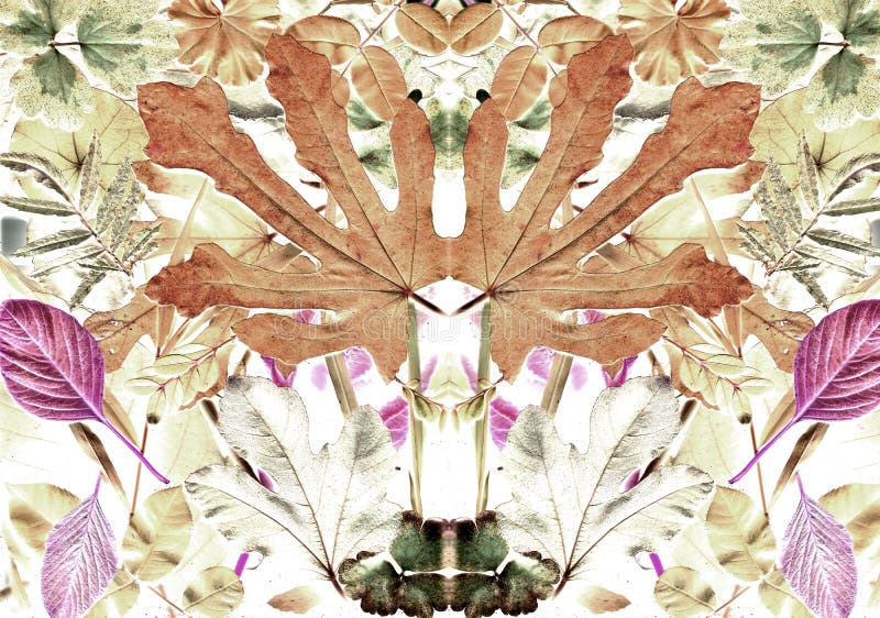 Botanical grooves stock image. Image of anniversary - 153517177