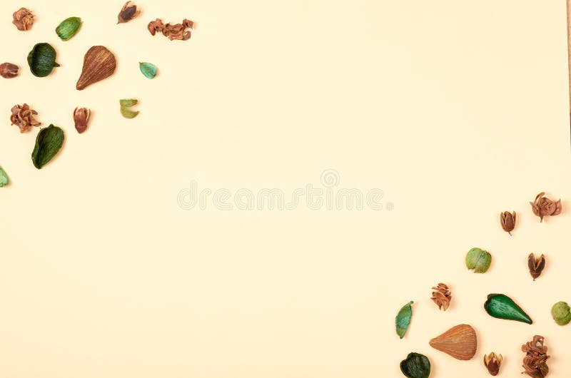 Leaves Composition. Nature Concept Background Stock Photo - Image of ...