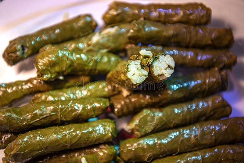 Vine Leaves Cooked with Olive Oil and Rice Stock Photo - Image of ...