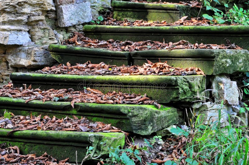 Leaves on the Damaged Stone Steps Stock Image - Image of cityscape ...