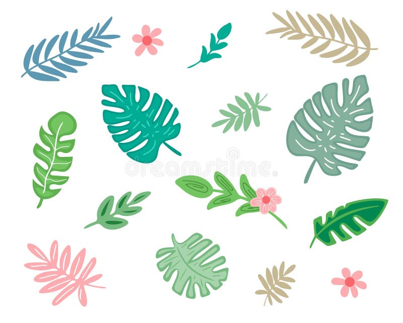 Leaves Design Element Collection -Vector Set or Bundle with Leaf and ...