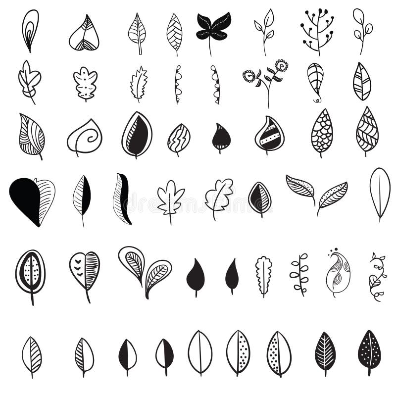 Leaves Doodle Art Collection Stock Vector - Illustration of chamomile ...