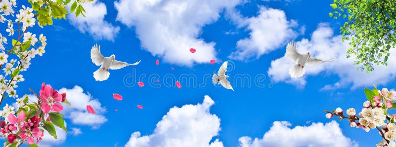 Leaves and Doves Flying from Spring Flowers Stock Image - Image of ...