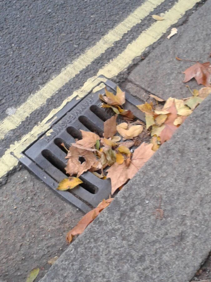 Leaves on a drain stock image. Image of kerb, leaves - 47075805