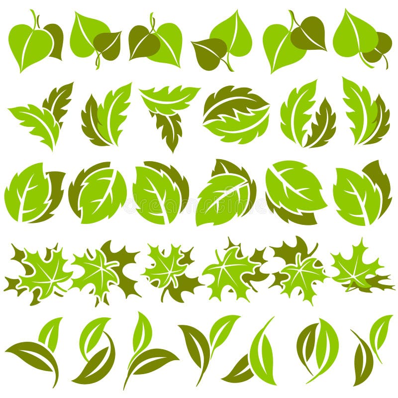 Leaves. Elements for Design Stock Vector - Illustration of growth ...