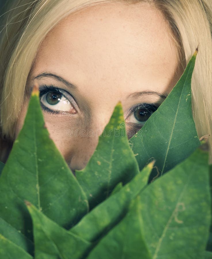 Leaves face stock image. Image of beautiful, peace, leaves - 22374721