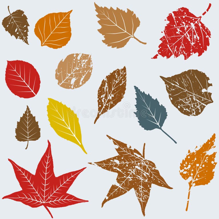 Fall Leaves Line Art Stock Illustrations – 24,319 Fall Leaves Line Art ...