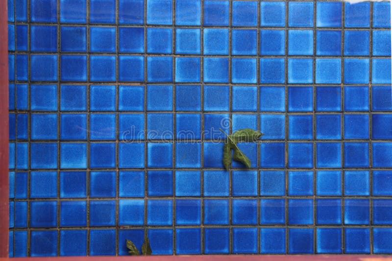 Leaves Fall in the Swimming Pool Blue Color Background Stock Image ...