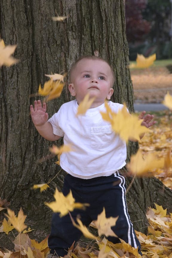 Leaves Falling on Me stock photo. Image of tree, autumn - 1257600