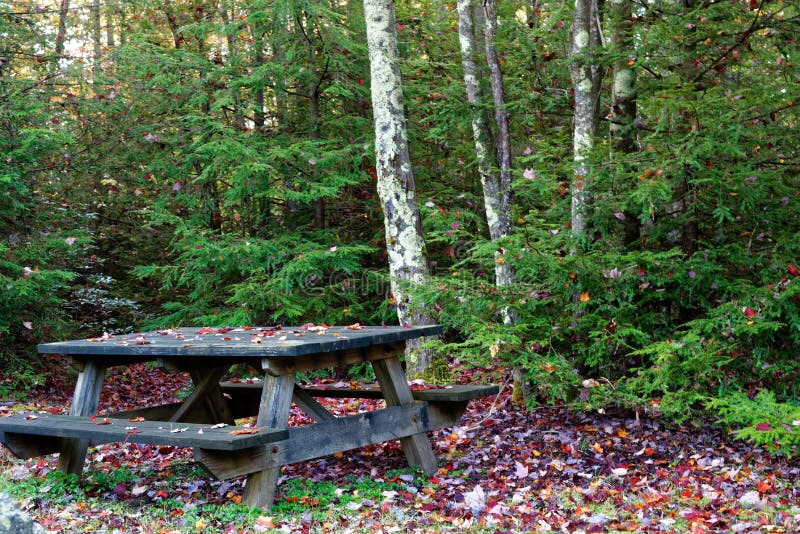 Leaves Falling Over a Picnic Table in the Fall Stock Image - Image of ...