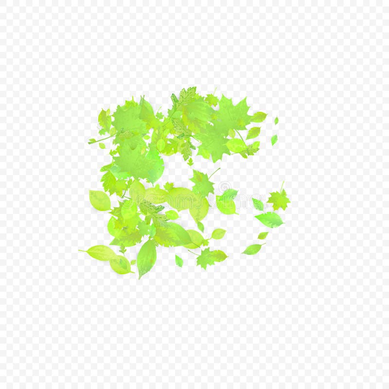 Leaves Falling Spring Flying Foliage Green Leaf Stock Illustration ...