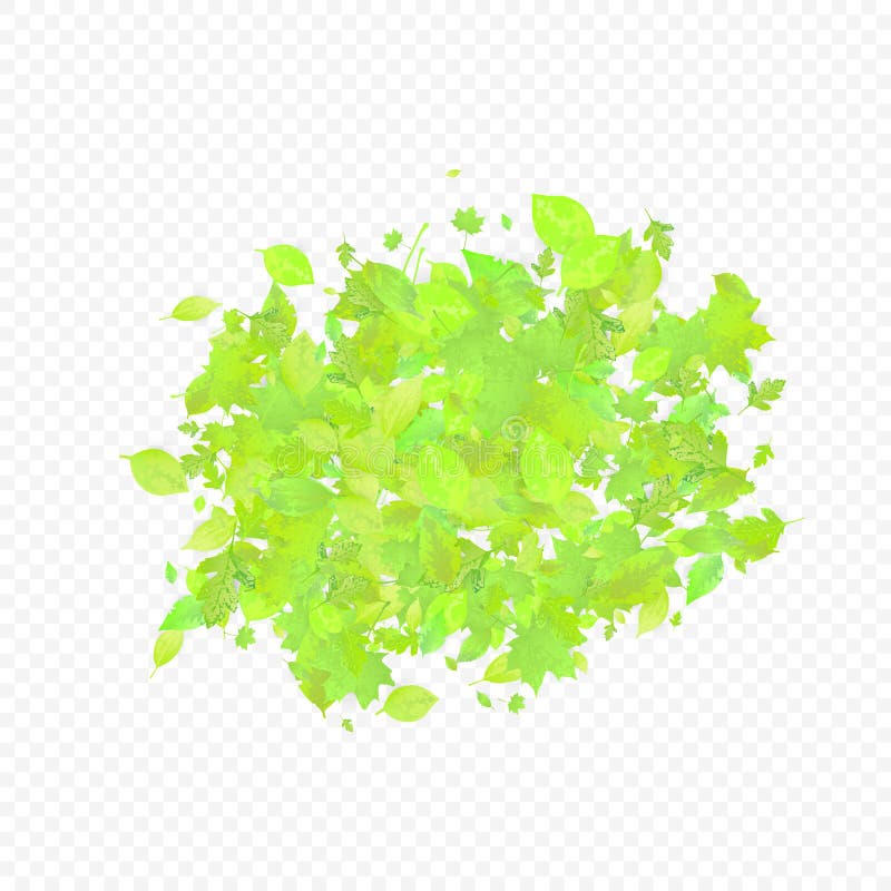 Leaves Falling Spring Flying Foliage Green Leaf Stock Vector ...