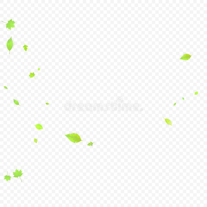 Leaves Falling Spring Flying Foliage Green Leaf Stock Vector ...