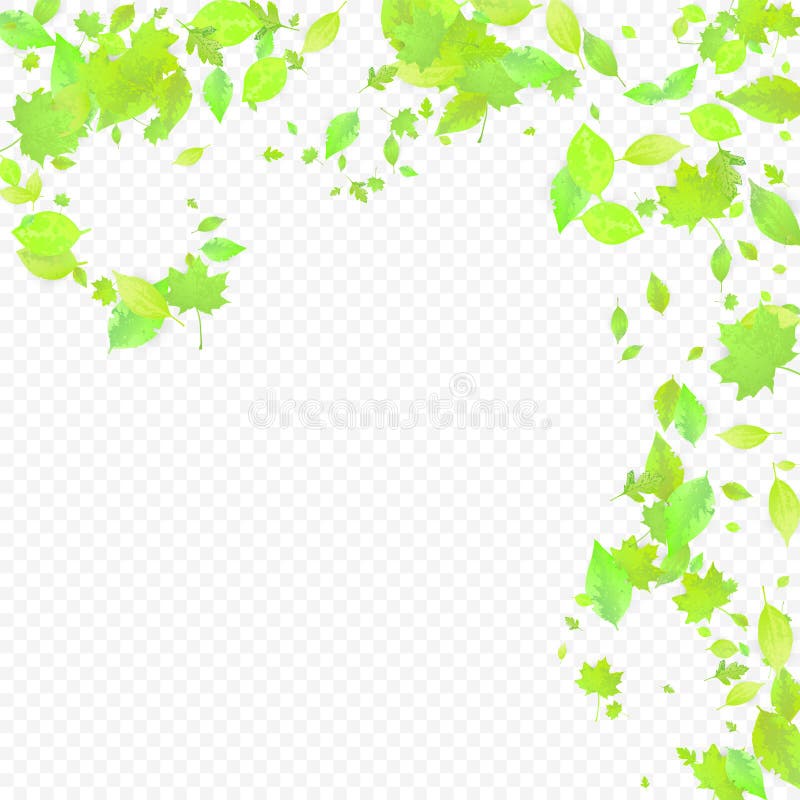 Leaves Falling Spring Flying Foliage Green Leaf Stock Vector ...