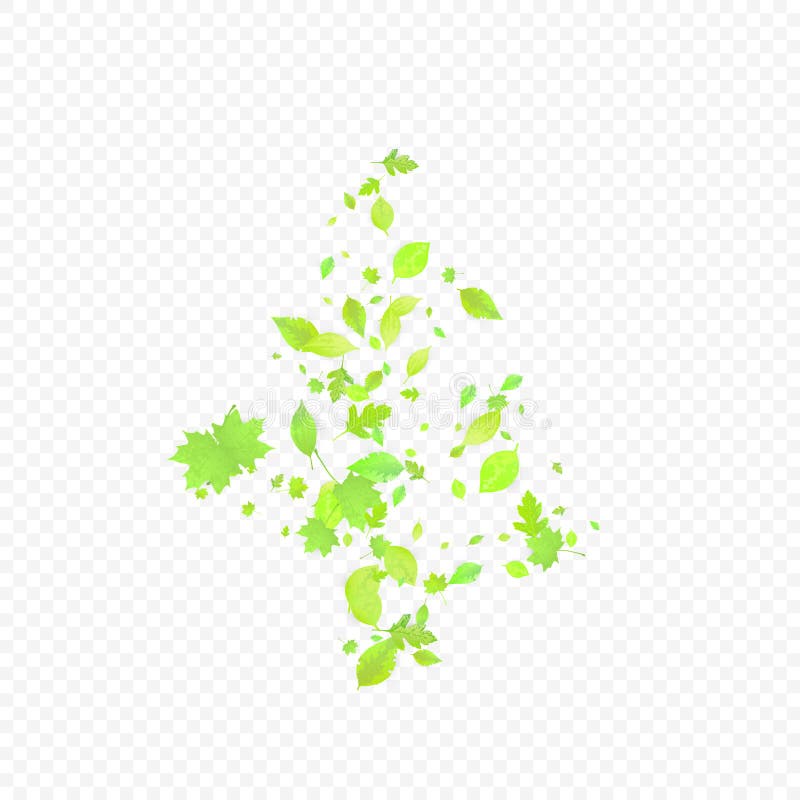 Leaves Falling Spring Flying Foliage Green Leaf Stock Vector ...