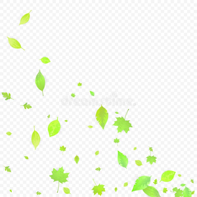 Leaves Falling Spring Flying Foliage Green Leaf Stock Vector ...