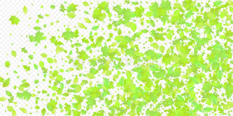 Leaves Falling Spring Flying Foliage Green Leaf Stock Illustration ...