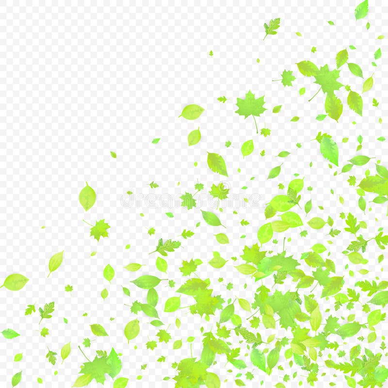 Leaves Falling Spring Flying Foliage Green Leaf Stock Vector ...