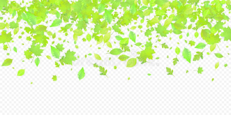 Leaves Falling Spring Flying Foliage Green Leaf Stock Vector ...