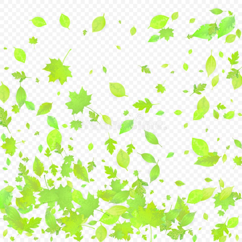 Leaves Falling Spring Flying Foliage Green Leaf Stock Vector ...