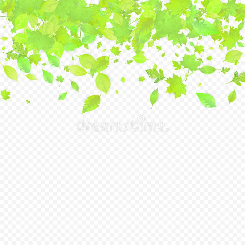 Leaves Falling Spring Flying Foliage Green Leaf Stock Vector ...