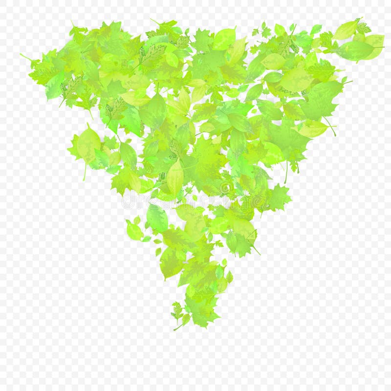 Leaves Falling Spring Flying Foliage Green Leaf Stock Vector ...