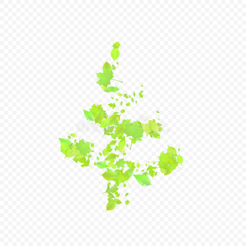 Leaves Falling Spring Flying Foliage Green Leaf Stock Vector ...