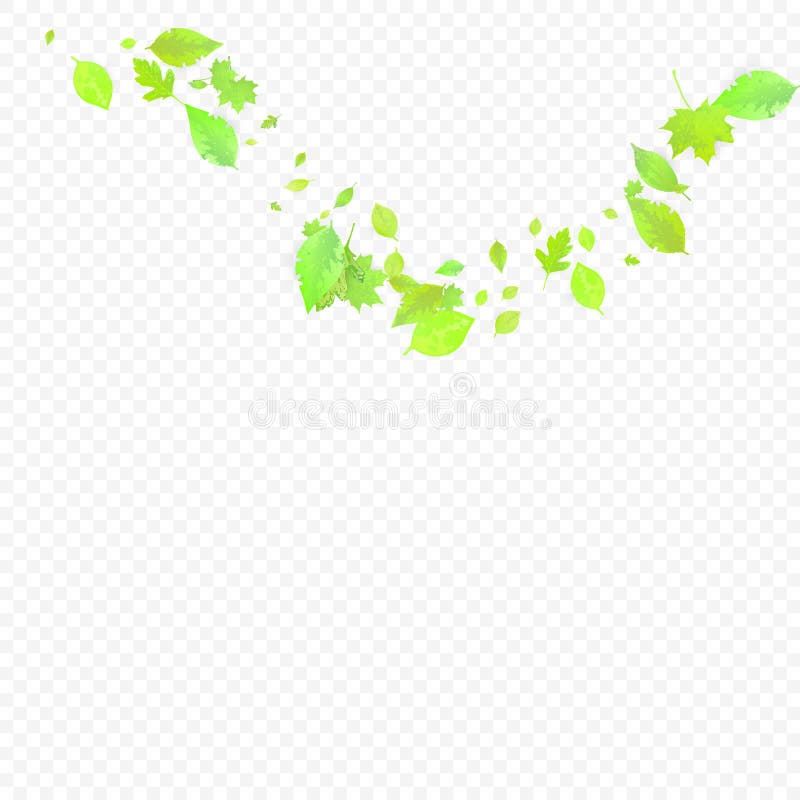 Leaves Falling Spring Flying Foliage Green Leaf Stock Vector ...