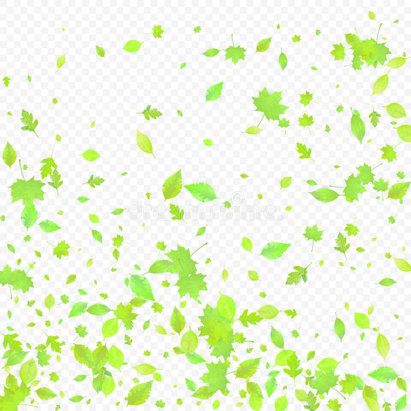Leaves Falling Spring Flying Foliage Green Leaf Stock Vector ...