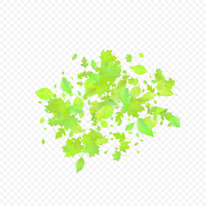 Leaves Falling Spring Flying Foliage Green Leaf Stock Vector ...