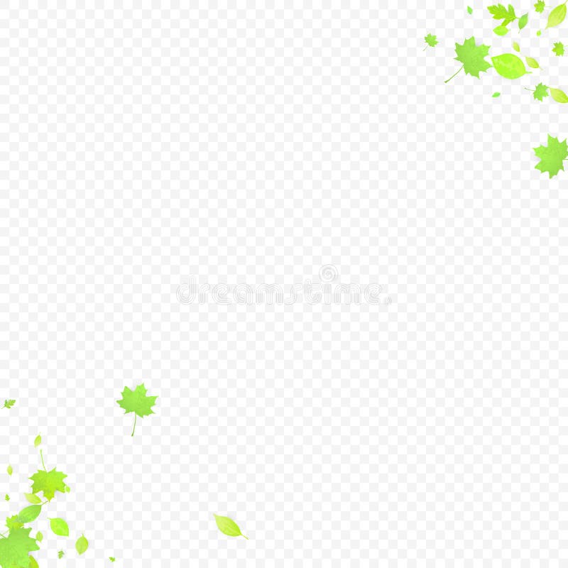 Leaves Falling Spring Flying Foliage Green Leaf Stock Vector ...