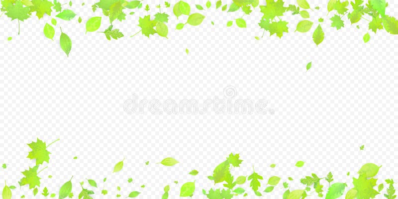 Leaves Falling Spring Flying Foliage Green Leaf Stock Vector ...