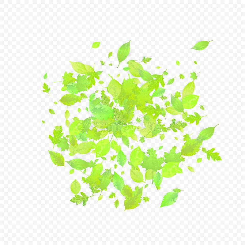 Leaves Falling Spring Flying Foliage Green Leaf Stock Vector ...