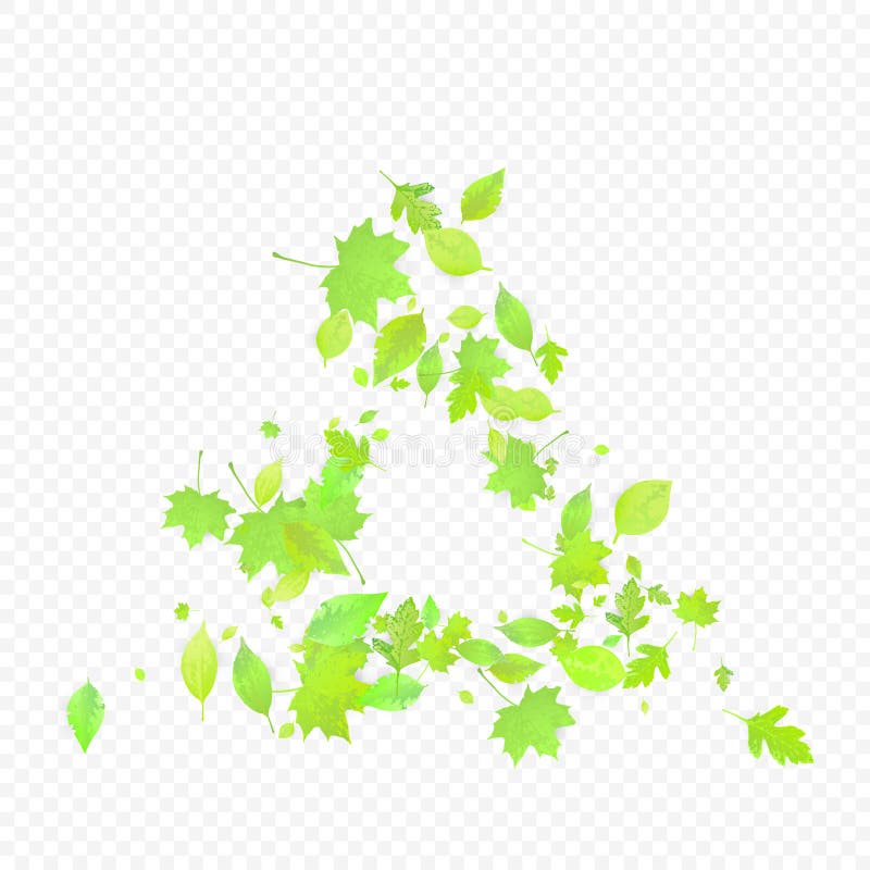 Leaves Falling Spring Flying Foliage Green Leaf Stock Vector ...