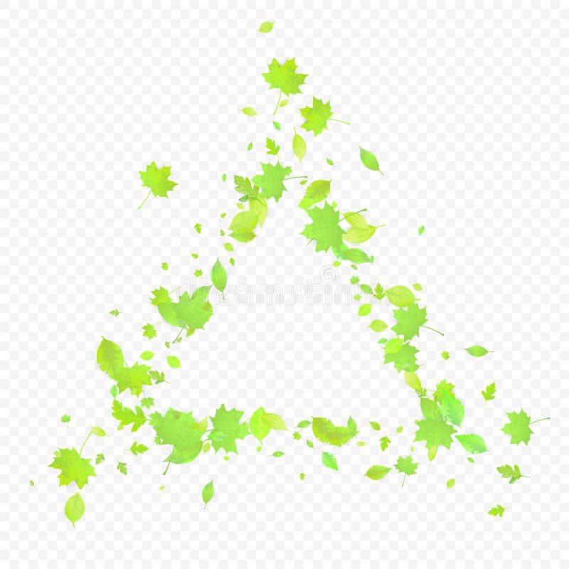 Leaves Falling Spring Flying Foliage Green Leaf Stock Vector ...