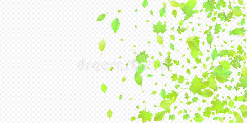 Leaves Falling Spring Flying Foliage Green Leaf Stock Vector ...