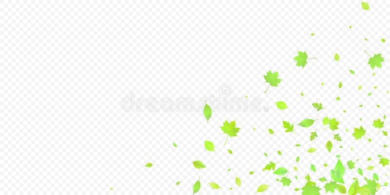 Leaves Falling Spring Flying Foliage Green Leaf Stock Vector ...