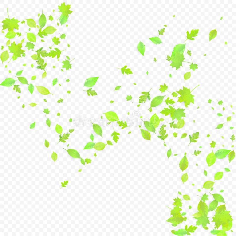 Leaves Falling Spring Flying Foliage Green Leaf Stock Vector ...
