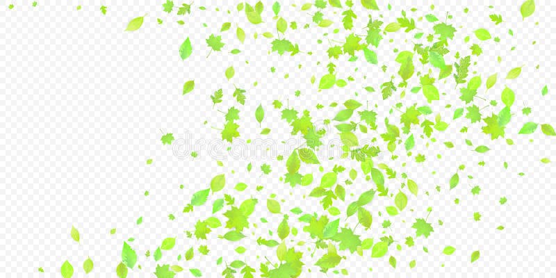 Leaves Falling Spring Flying Foliage Green Leaf Stock Illustration ...