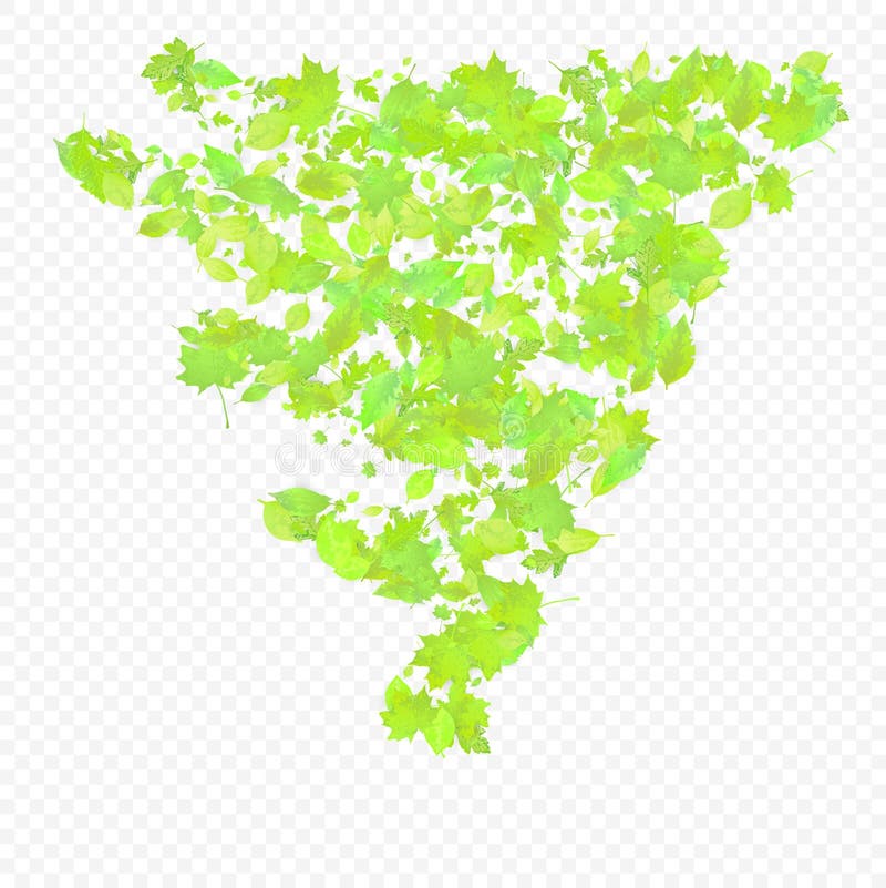 Leaves Falling Spring Flying Foliage Green Leaf Stock Illustration ...