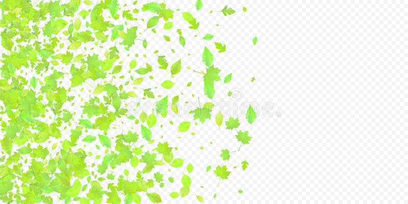 Leaves Falling Spring Flying Foliage Green Leaf Stock Vector ...